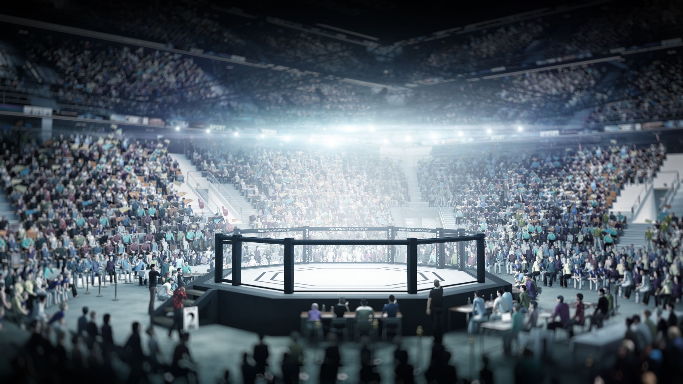 The Growth of MMA in Thailand: Building a Credible and Thriving Future ...